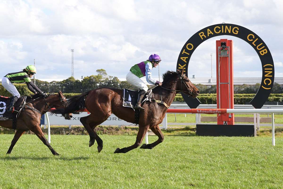 Amateur Rider Series - NZTR